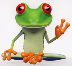 Peace Frog Specialty Cleaning